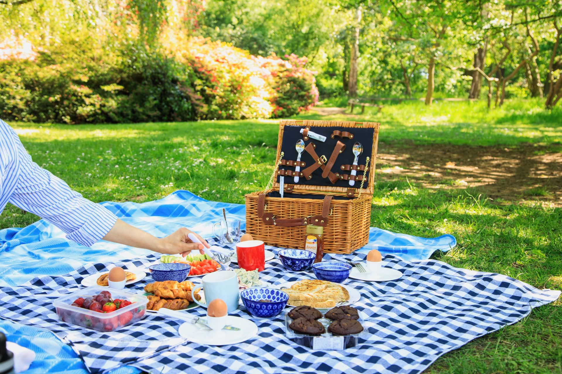 Enjoy Summer Fun with Nutritious Picnic Options - Meadville Medical Center